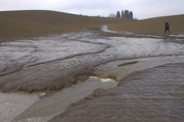 Ti fakta om bønder og tilskudd - Nibio